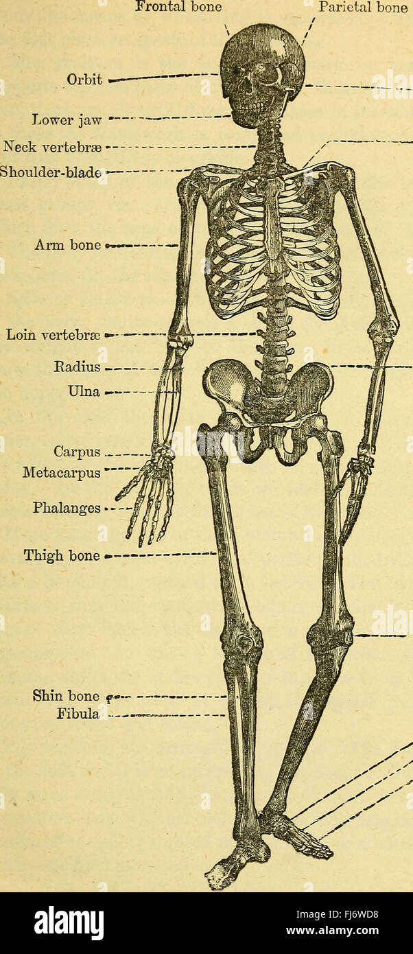 A series of health lectures aimed at educating the public on health and ...