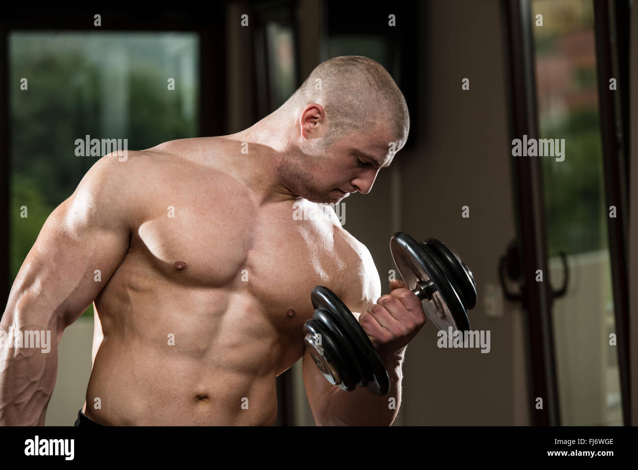 Bodybuilder Doing Heavy Weight Exercise For Biceps With Dumbbells In ...