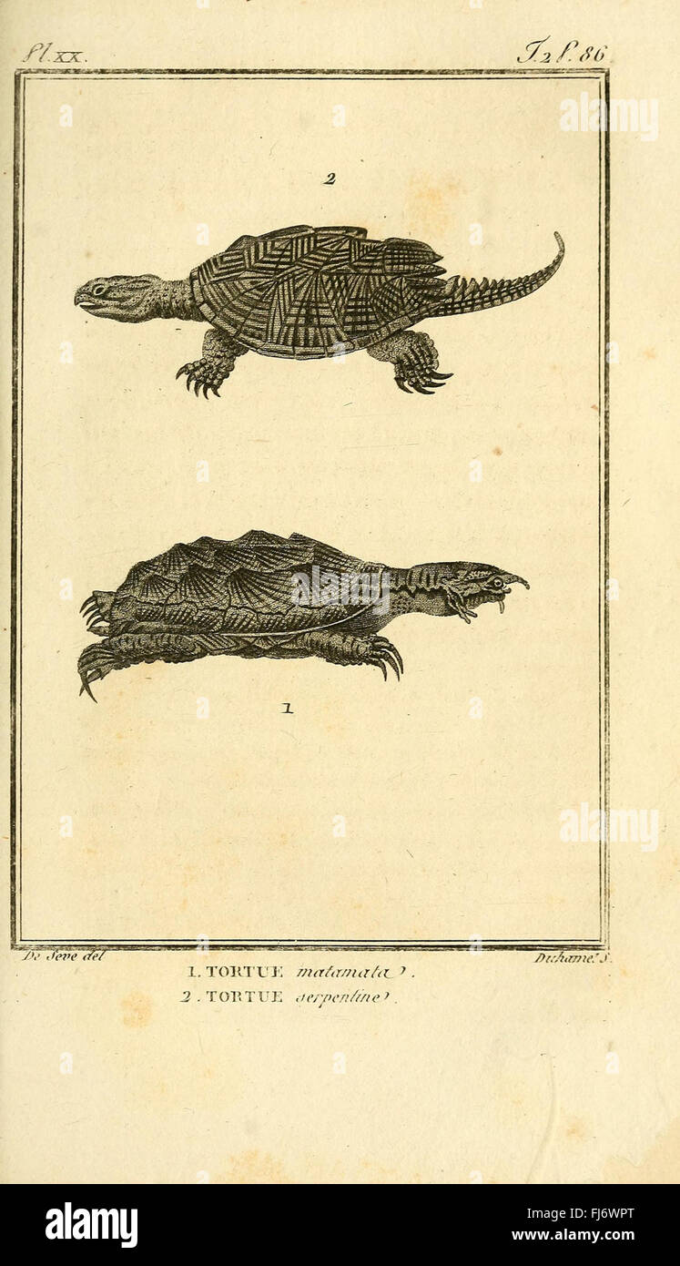 A detailed natural history of reptiles, offering insights into their ...