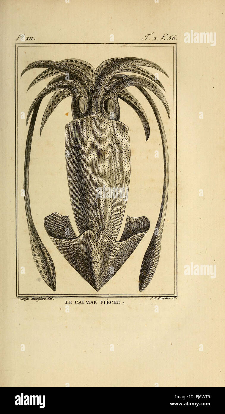 A comprehensive work on the natural history of mollusks, covering their ...