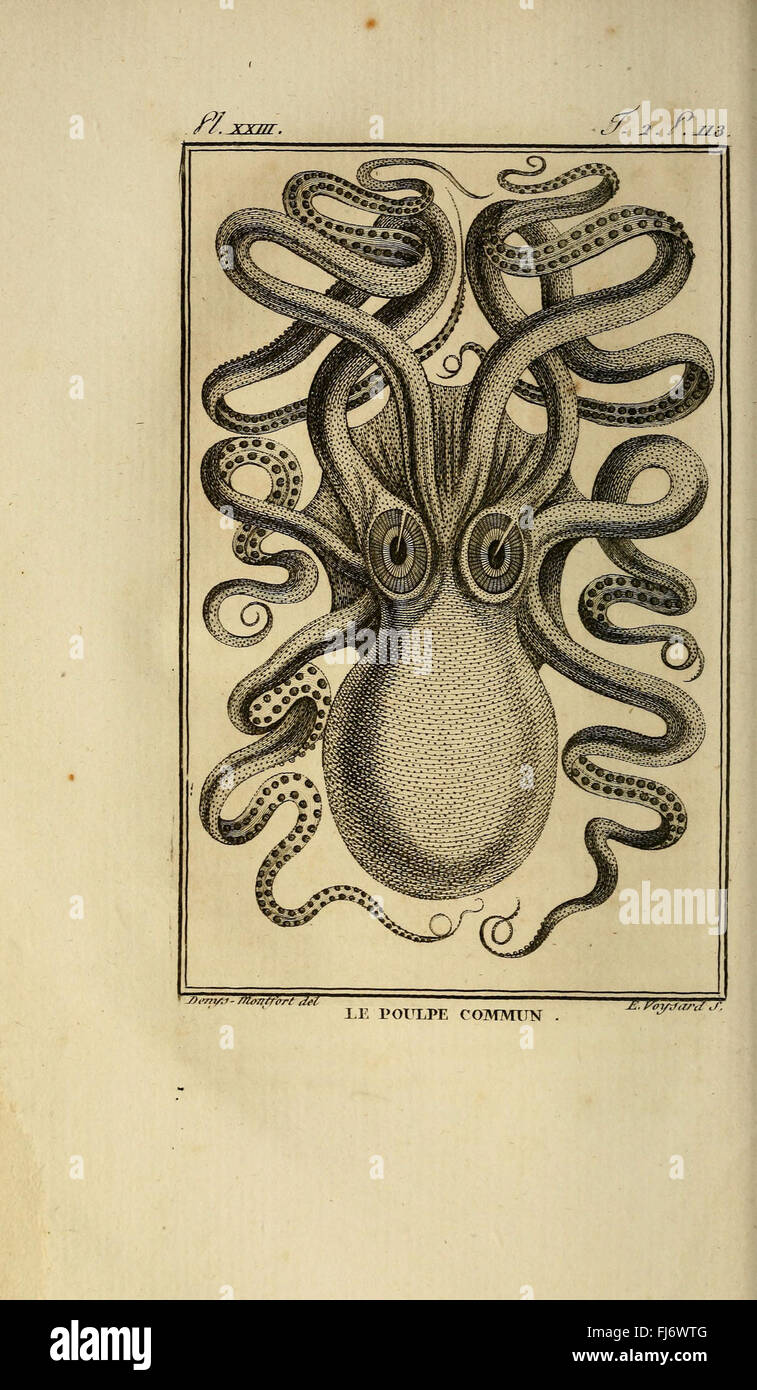 Natural history of mollusks, featuring both general and particular ...