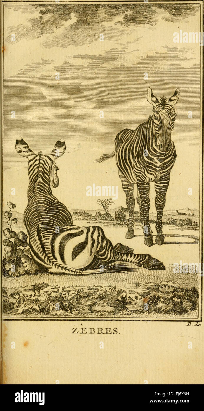 Complete Works of Count Buffon - History of Quadruped Animals (1775 ...