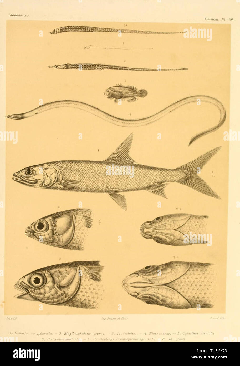 This study covers the physical, natural, and political history of ...