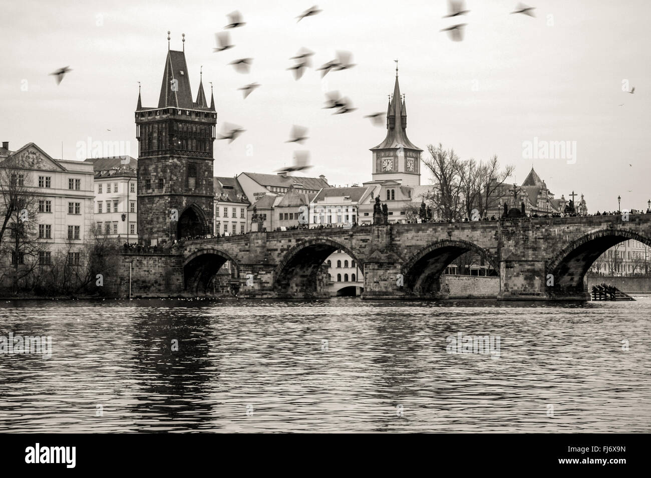 charles bridge prague karlov most river vltava Stock Photo - Alamy