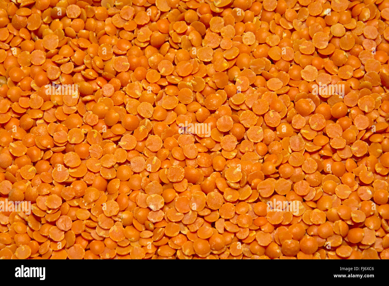 Background filled with red split lentils (lens culinaris Stock Photo ...