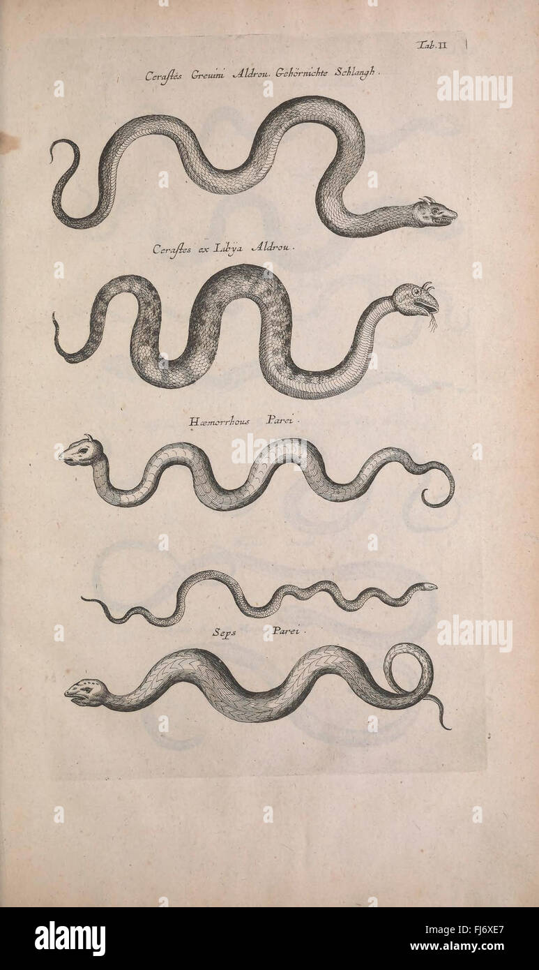 An early natural history of quadrupeds (mammals), including ...