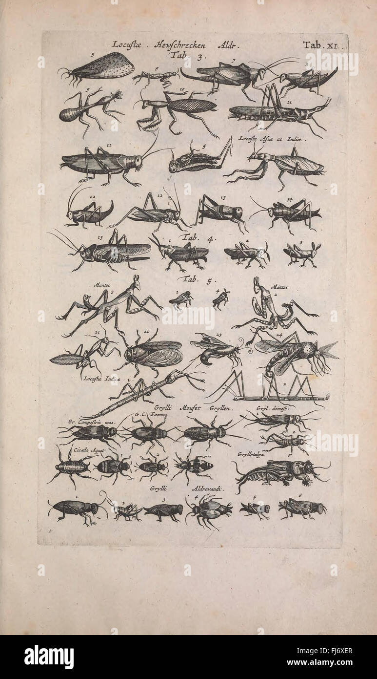 Early works on the natural history of quadrupeds, focusing on mammals ...