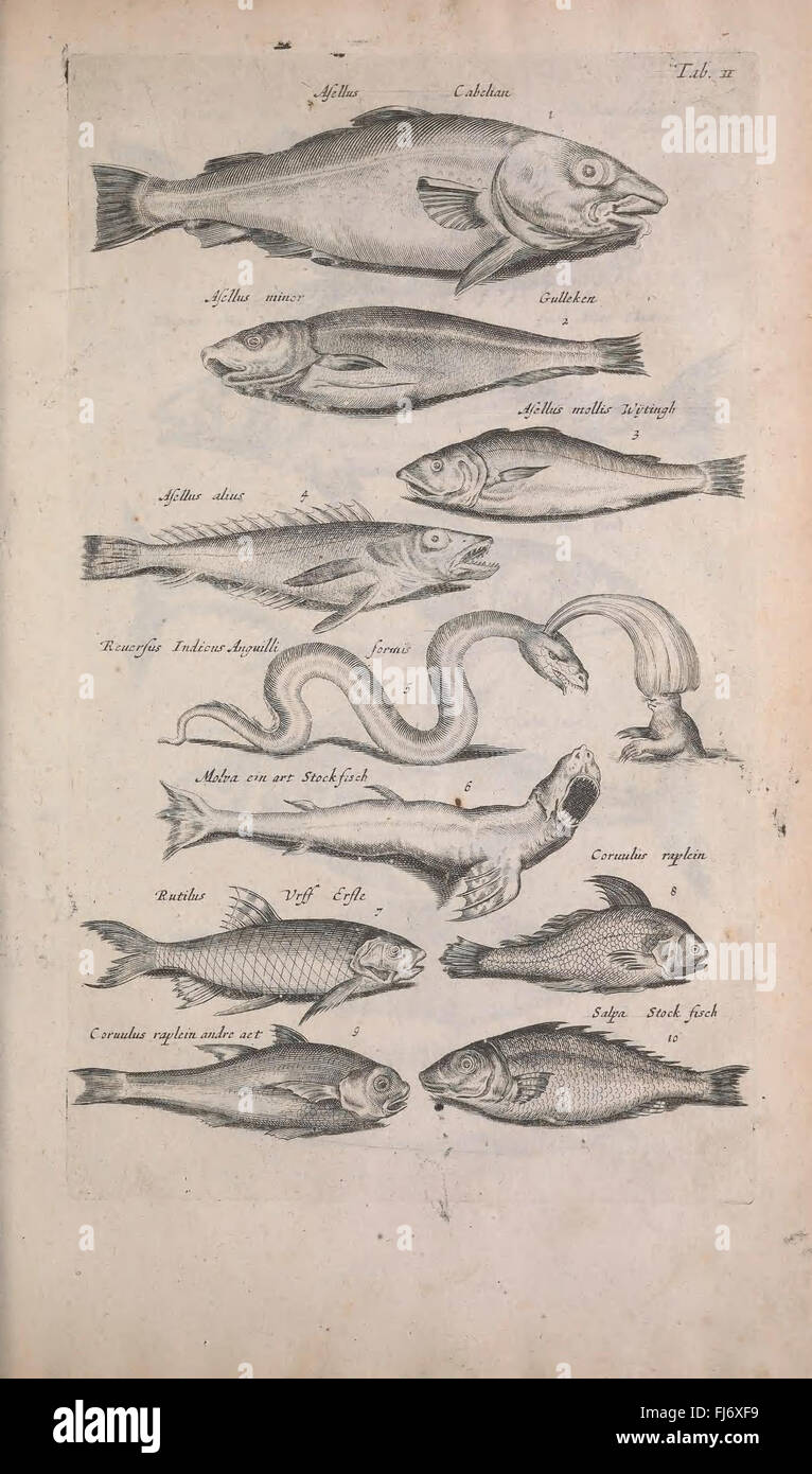 A foundational work in early zoology, documenting the natural history ...