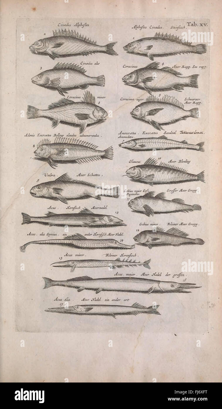 Historical work on the natural history of quadrupeds, detailing the ...