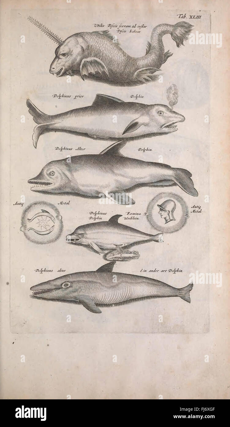 Early zoological work detailing various quadrupeds, birds, reptiles ...