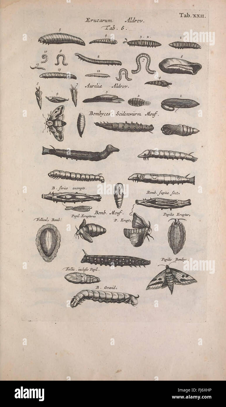 An early zoological work on quadrupeds, with special attention to birds ...