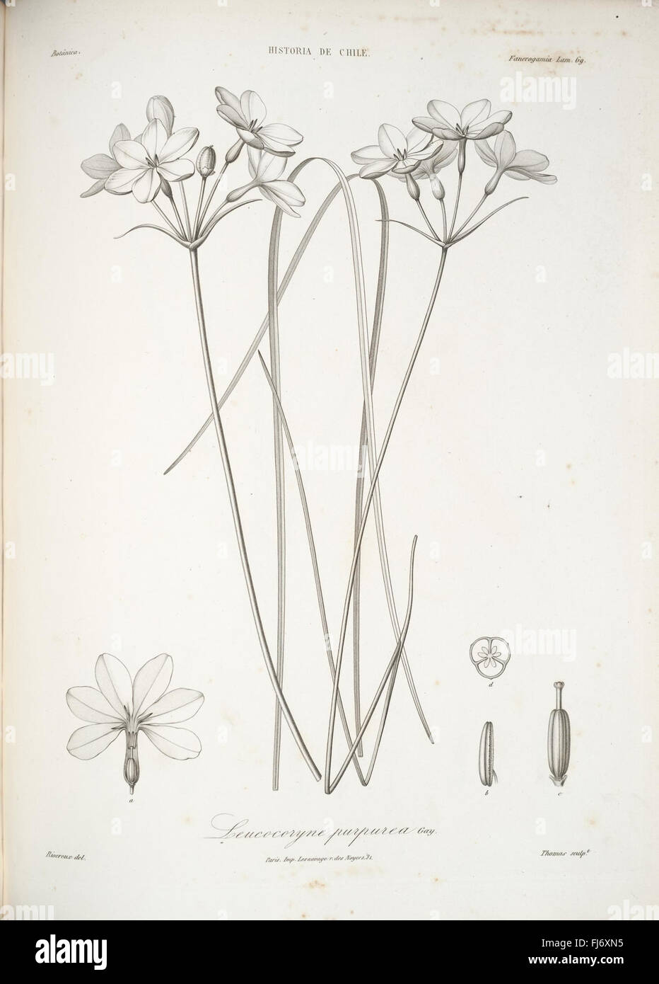 Work provides physical natural hi-res stock photography and images - Alamy