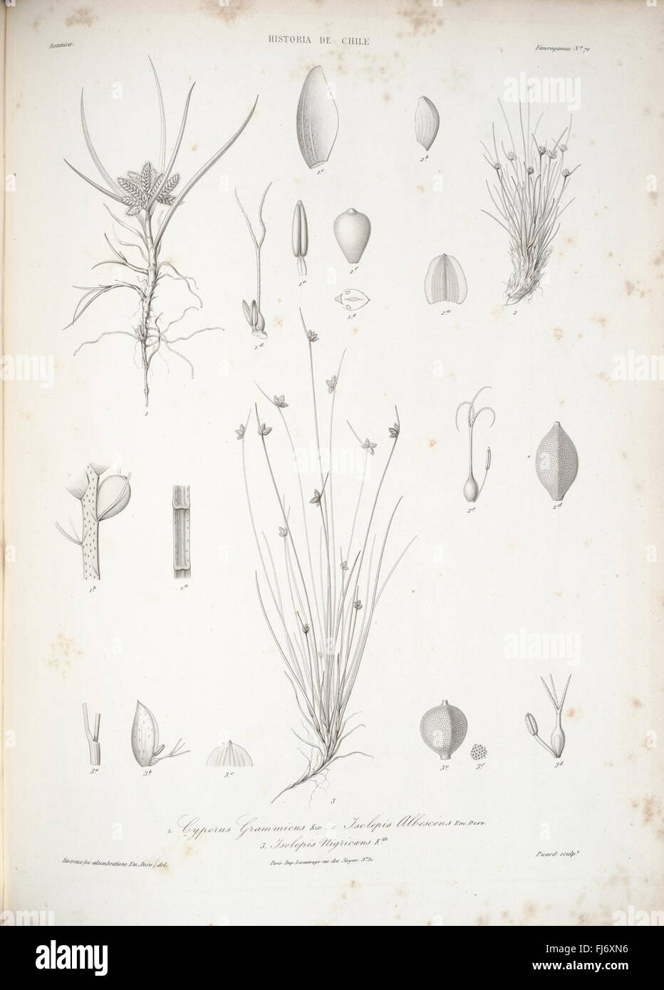 A comprehensive history of Chile based on documents acquired during ...