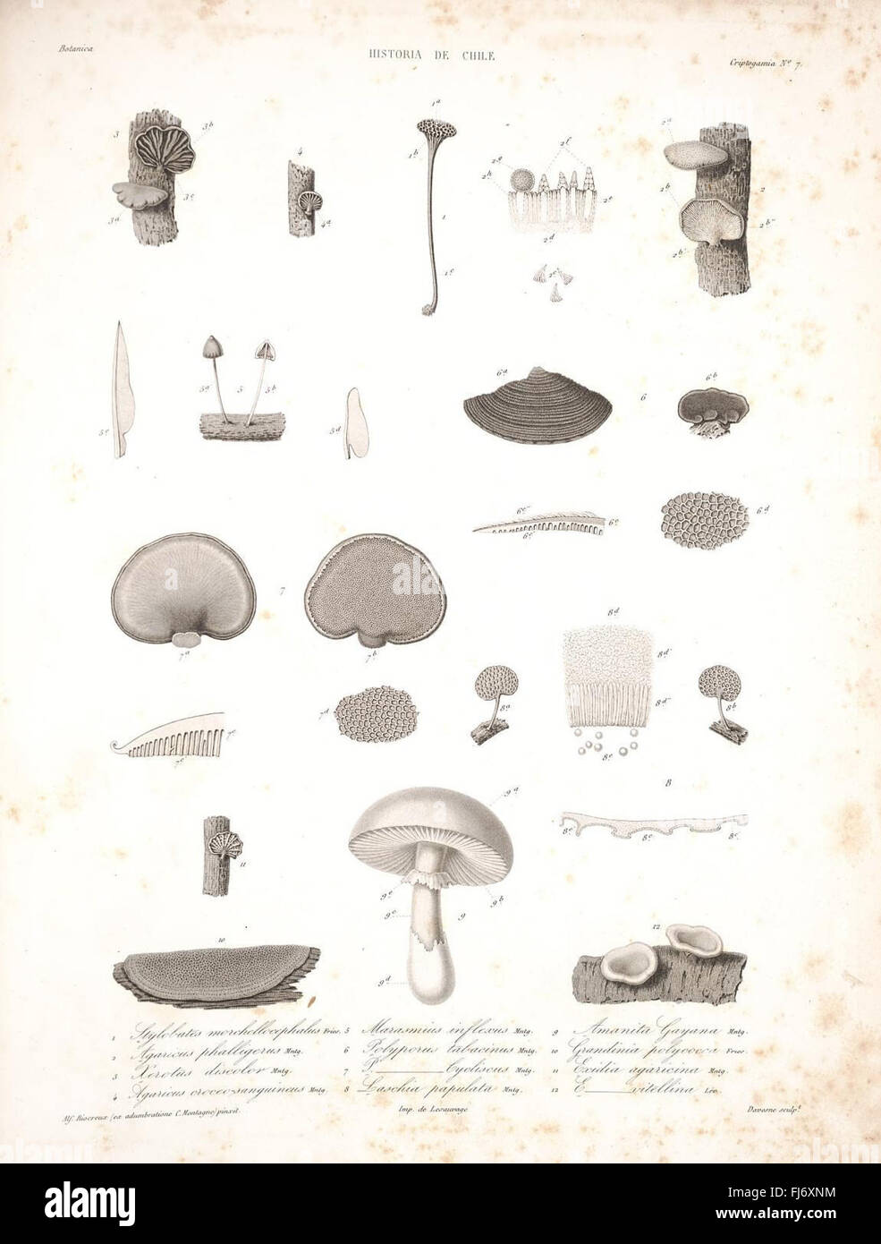 Chile, physical geography, political history, South America, geography ...