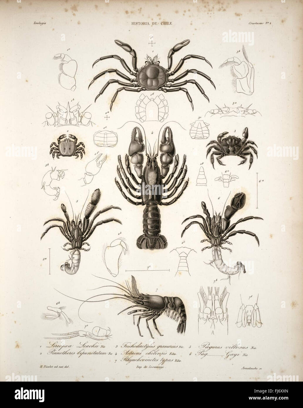 A comprehensive history of Chile, based on twelve years of research and ...