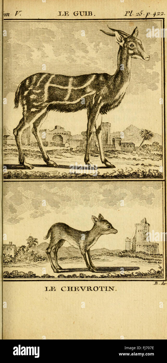 Buffon, quadrupeds, animal history, 18th century, zoology, animal ...