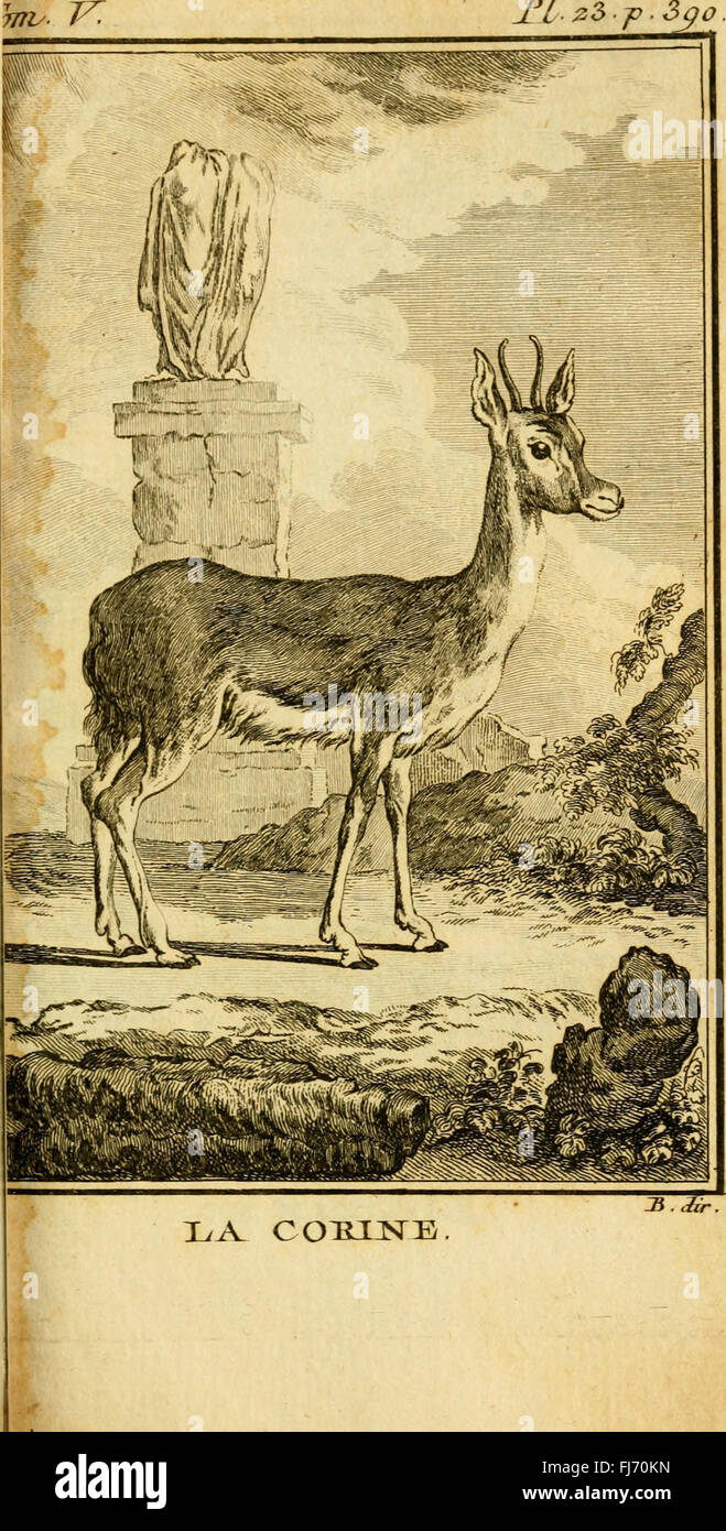 The complete works of Count Buffon, focusing on the history and ...