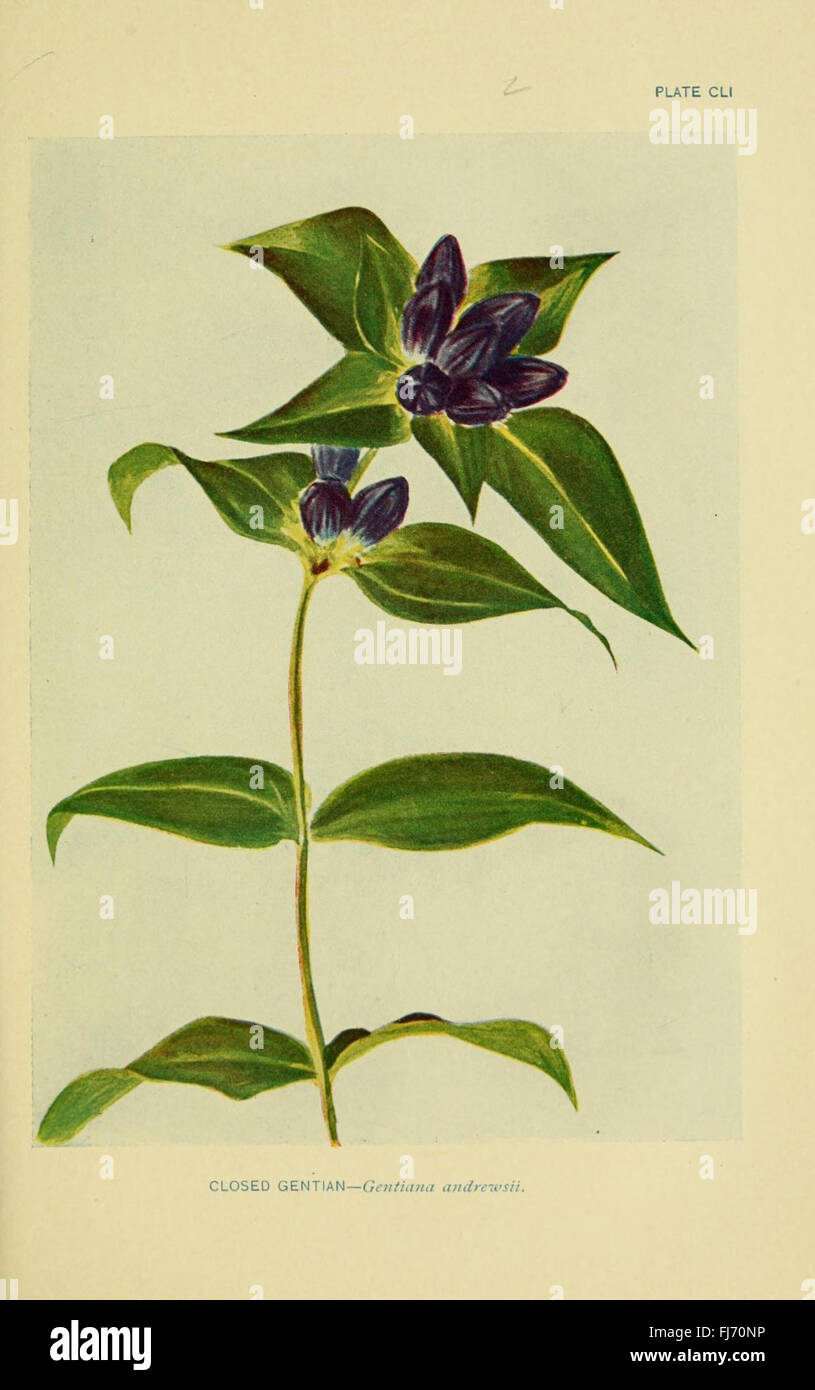 Cli font hi-res stock photography and images - Alamy