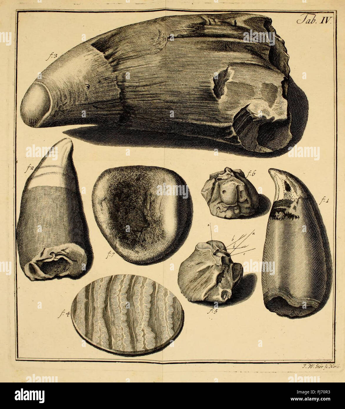 Iacobi Theodori Klein Historiae piscium naturalis - A foundational work ...