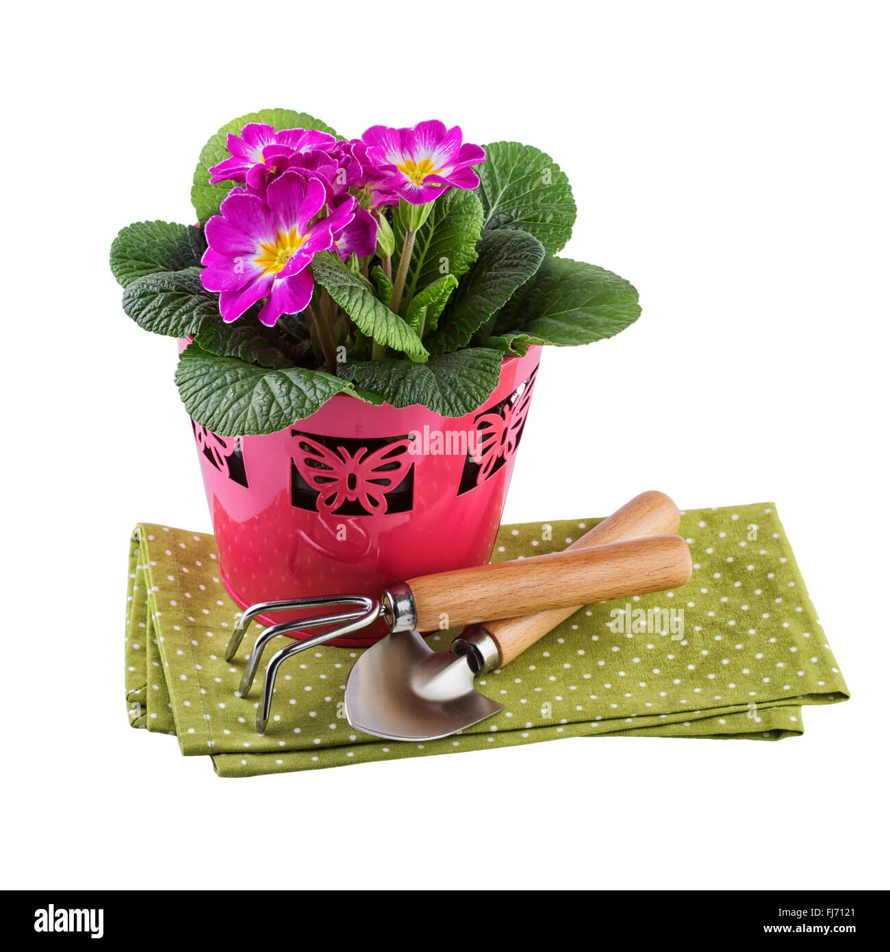 Spring flower pot garden hi-res stock photography and images - Alamy