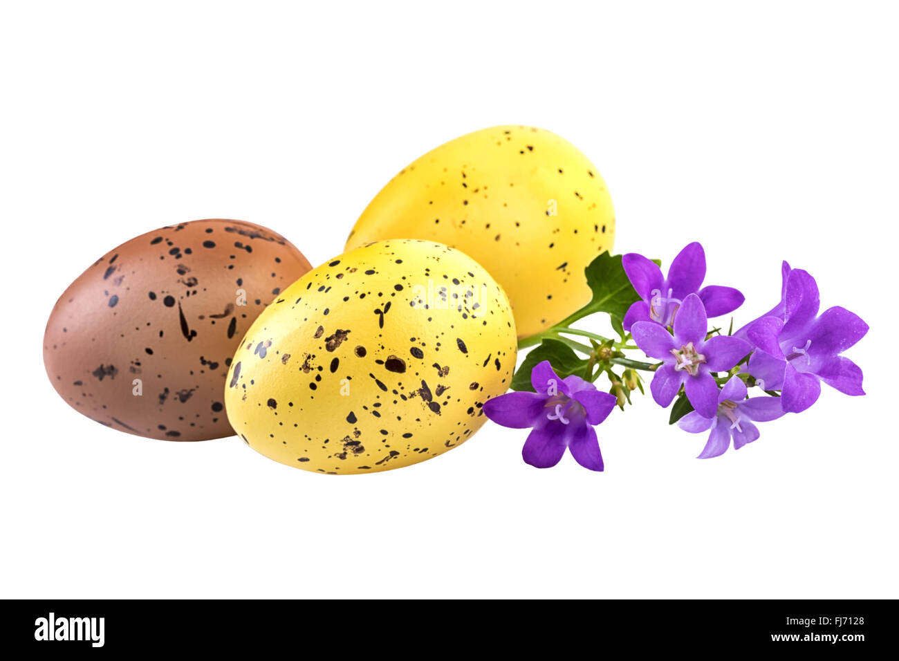 Spring flowers easter eggs hi-res stock photography and images - Alamy