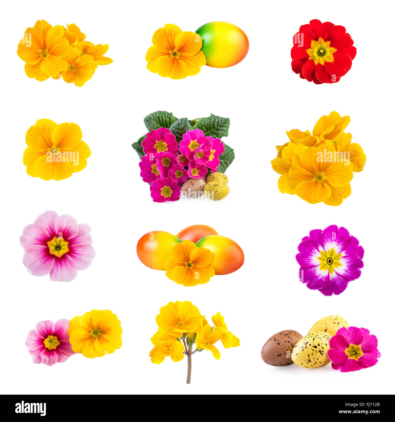 Spring collection hi-res stock photography and images - Alamy