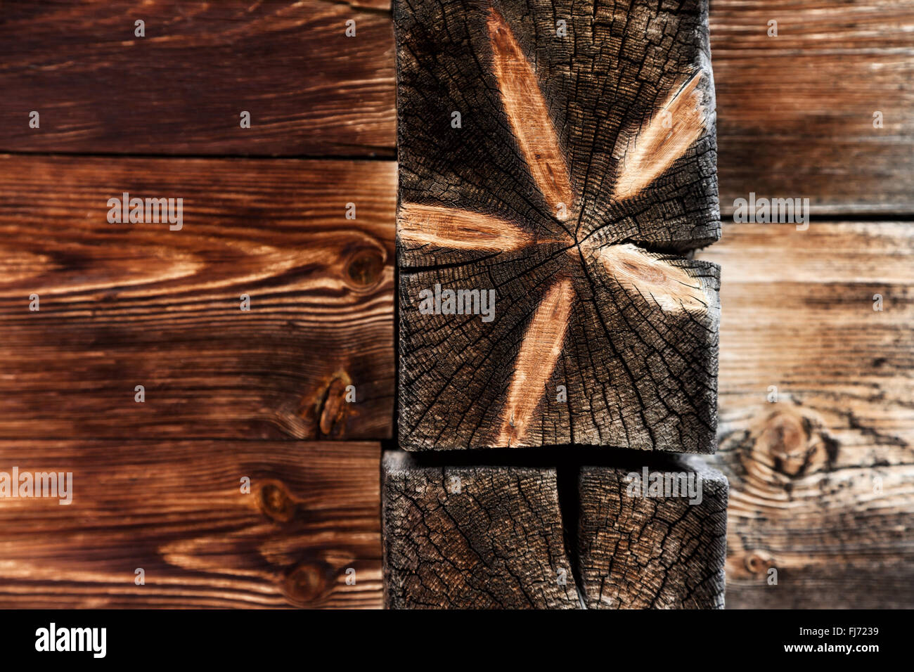 Count or counting tree rings hi-res stock photography and images - Alamy