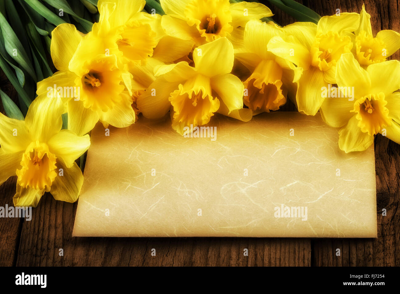 Yellow daffodils paper sheet retro look sunlight effect Stock Photo - Alamy