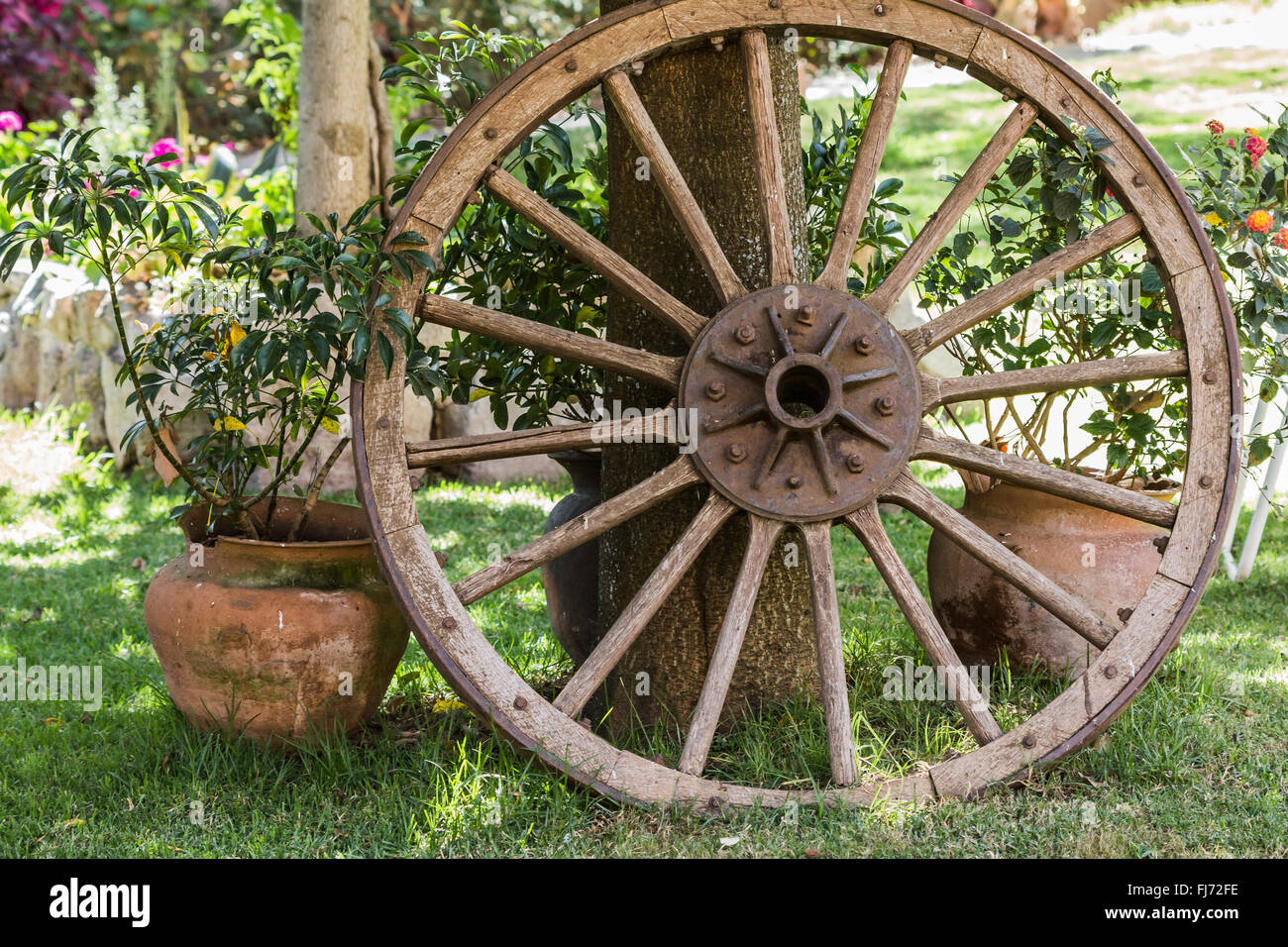 Wheel tree hi-res stock photography and images - Alamy