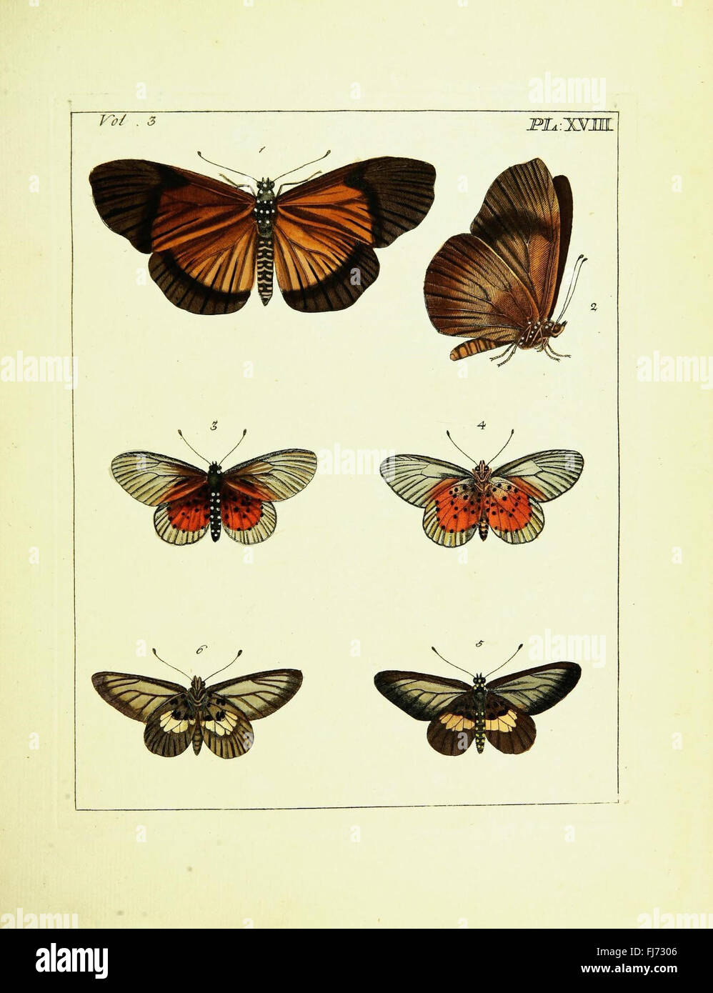 A volume featuring illustrations of various species from the natural ...