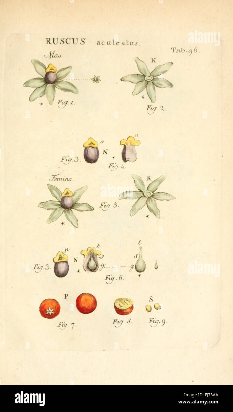 Illustration of Linnaean Sexual System (Tab. 96), a pictorial work on ...