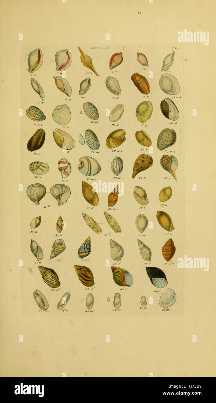 A comprehensive catalog detailing the classification and study of ...