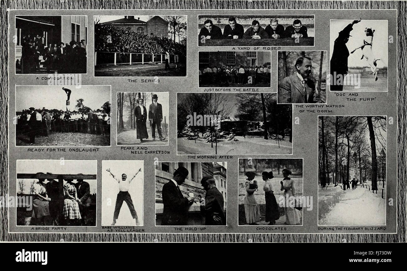 Arbutus habitats hi-res stock photography and images - Alamy