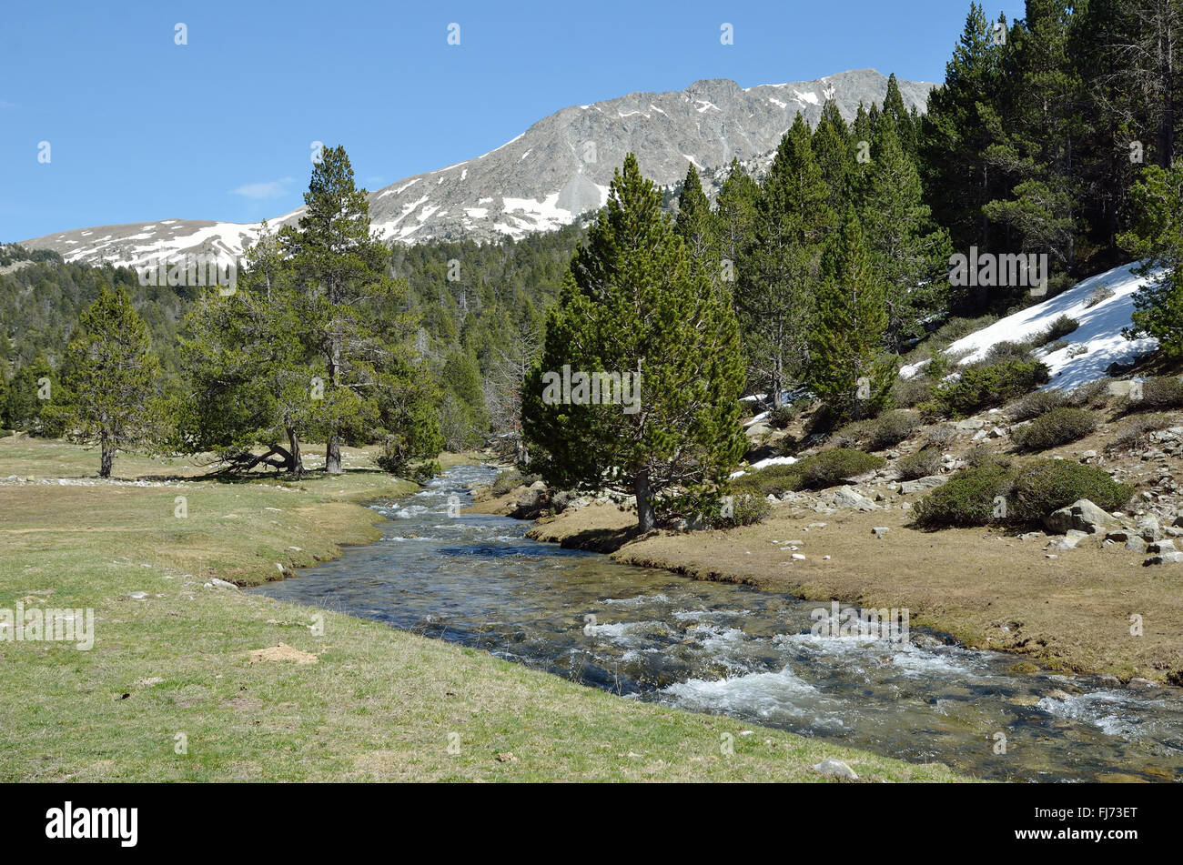 Spring in the Madriu-Perafita-Claror valley Stock Photo - Alamy