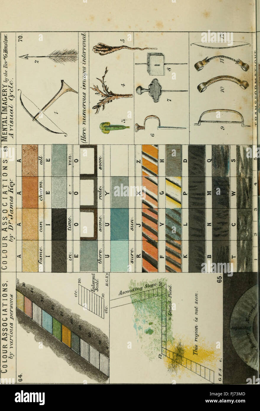 Inquiries into Human Faculty and Its Development (1883 Stock Photo - Alamy