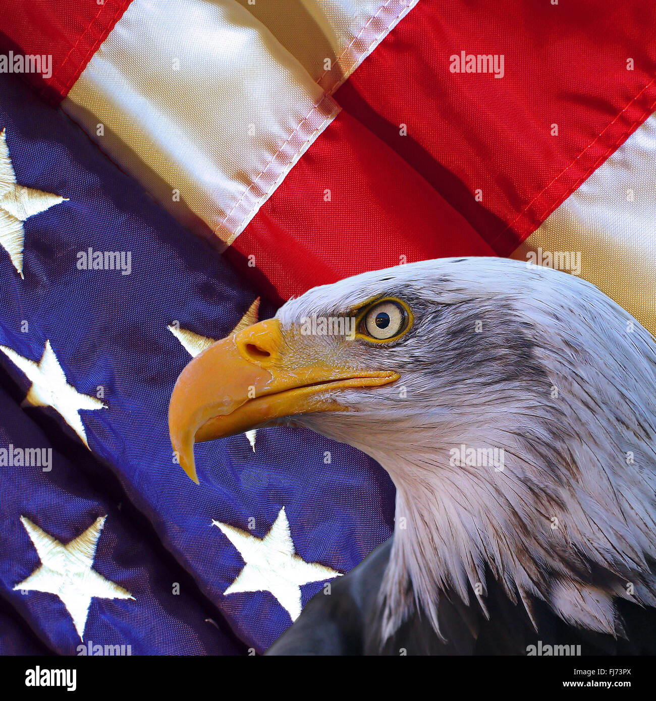 American freedom symbol hi-res stock photography and images - Alamy