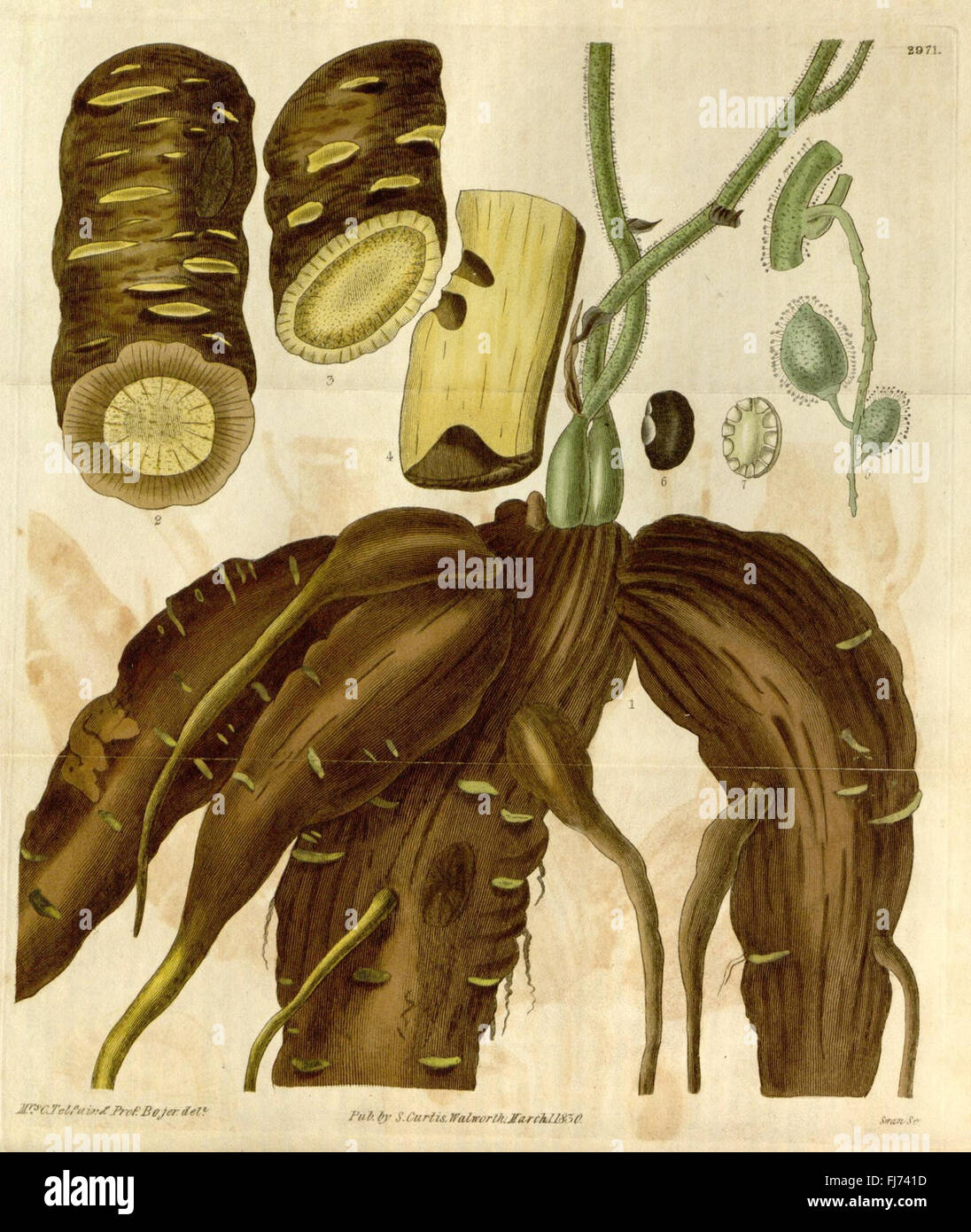 Peter h raven hi-res stock photography and images - Alamy