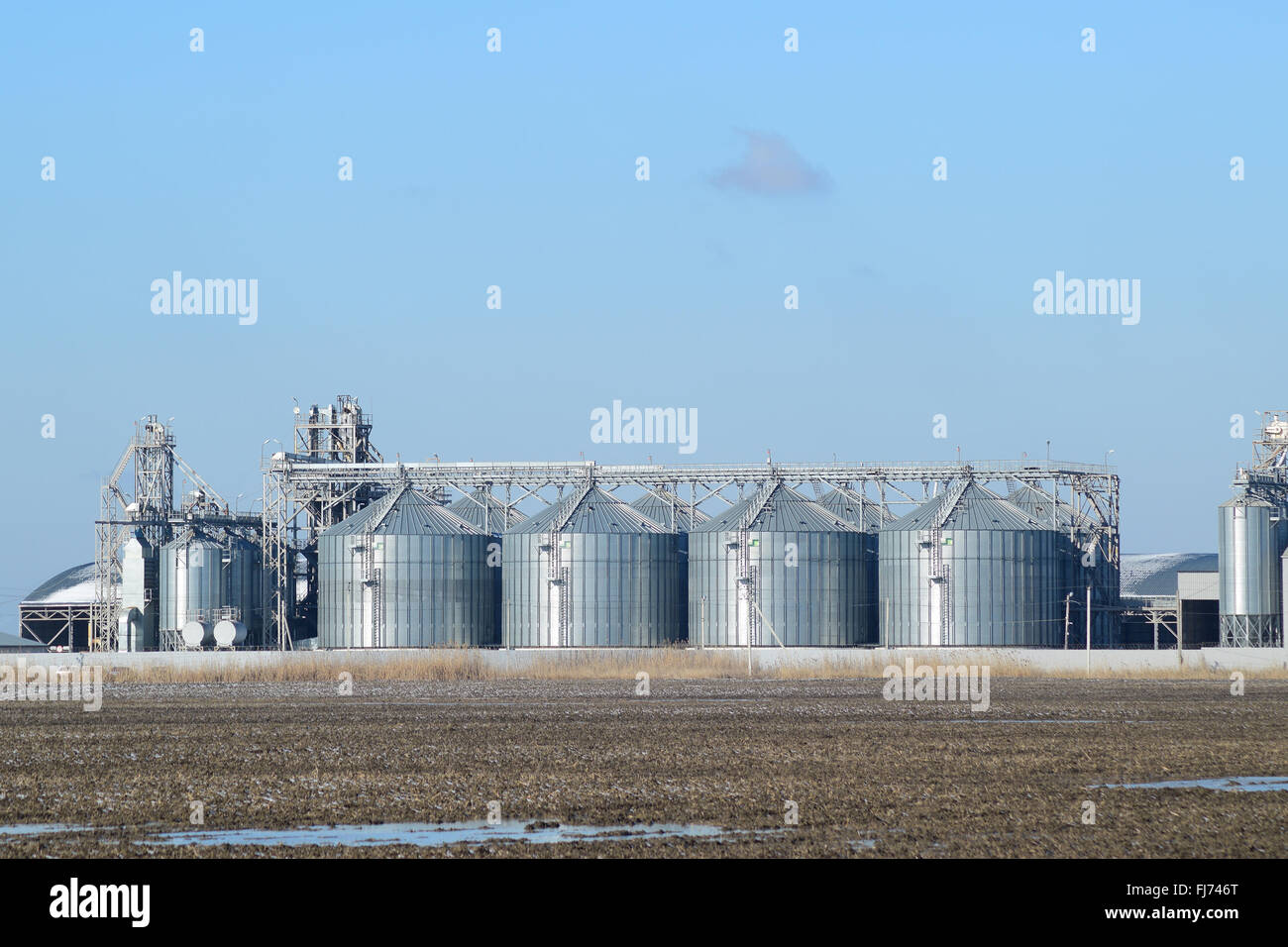 Plant for the drying and storage of grain. Rice plant in the middle of ...