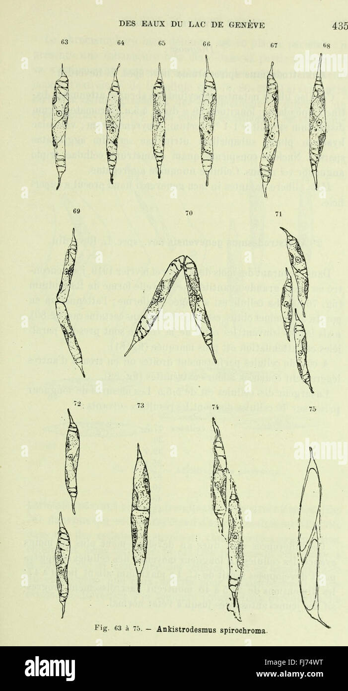 A scientific journal from 1919 dedicated to the exploration of physical ...