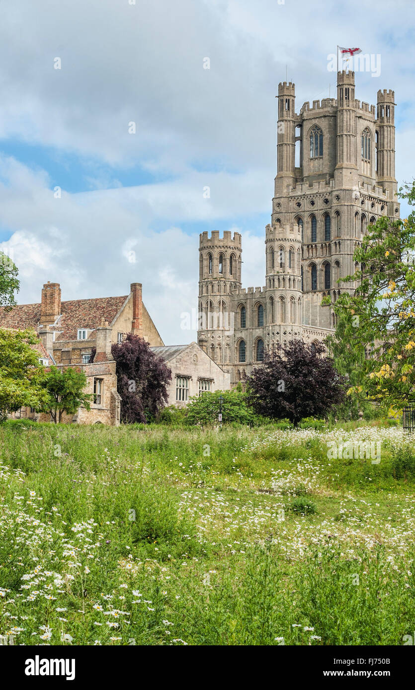 Fens heritage hi-res stock photography and images - Alamy