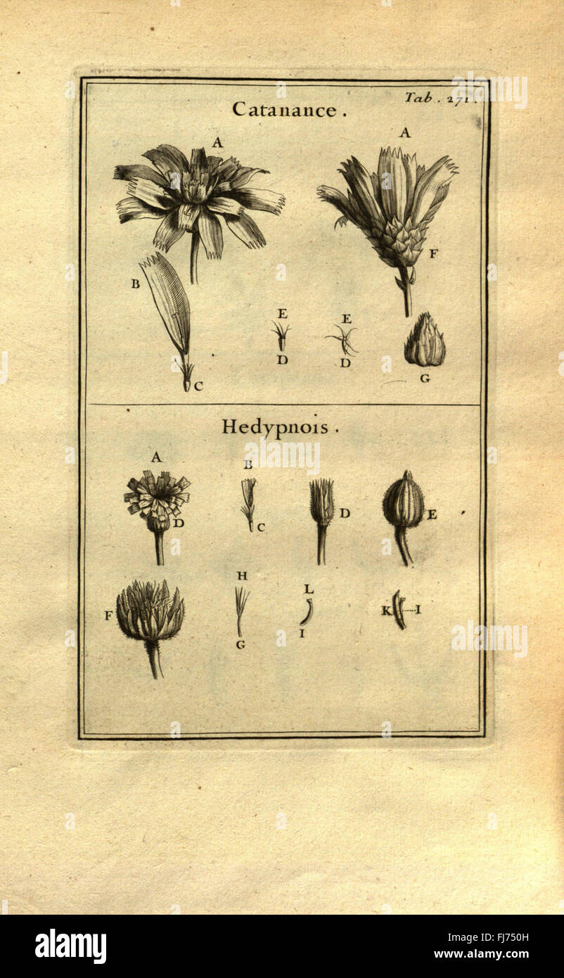 A botanical work by Joseph Pitton de Tournefort, a key text in the ...