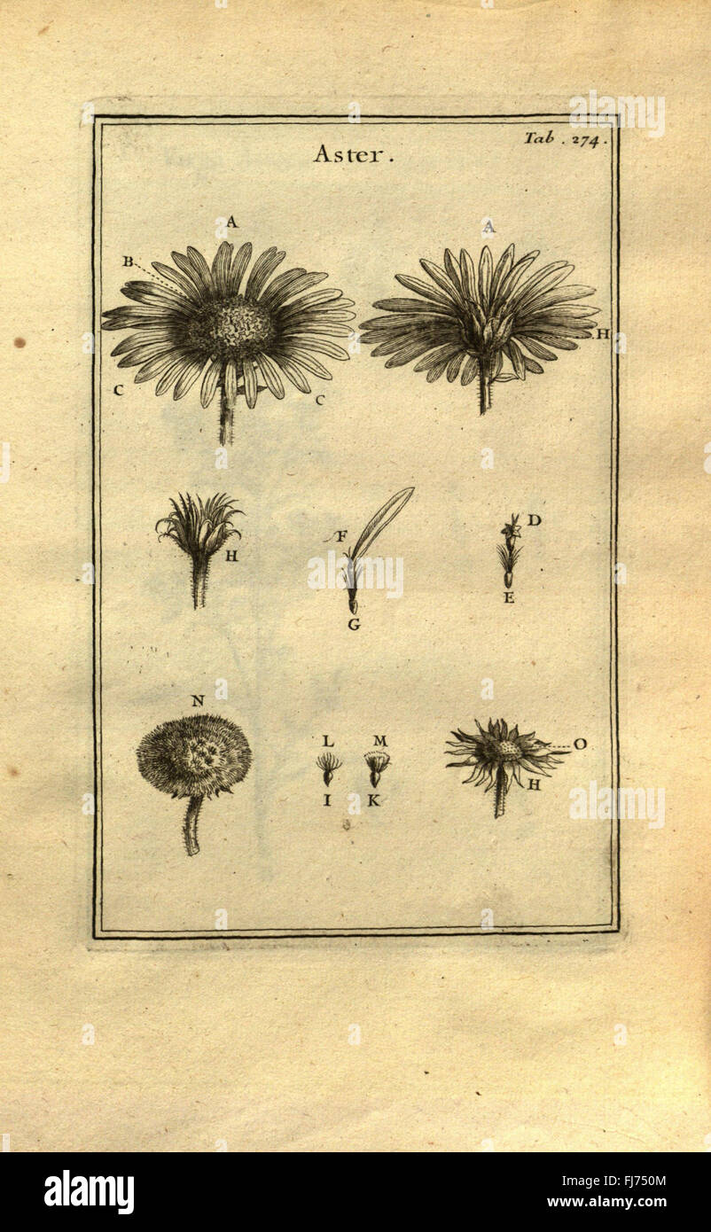 A botanical work by Joseph Pitton Tournefort, focusing on the ...
