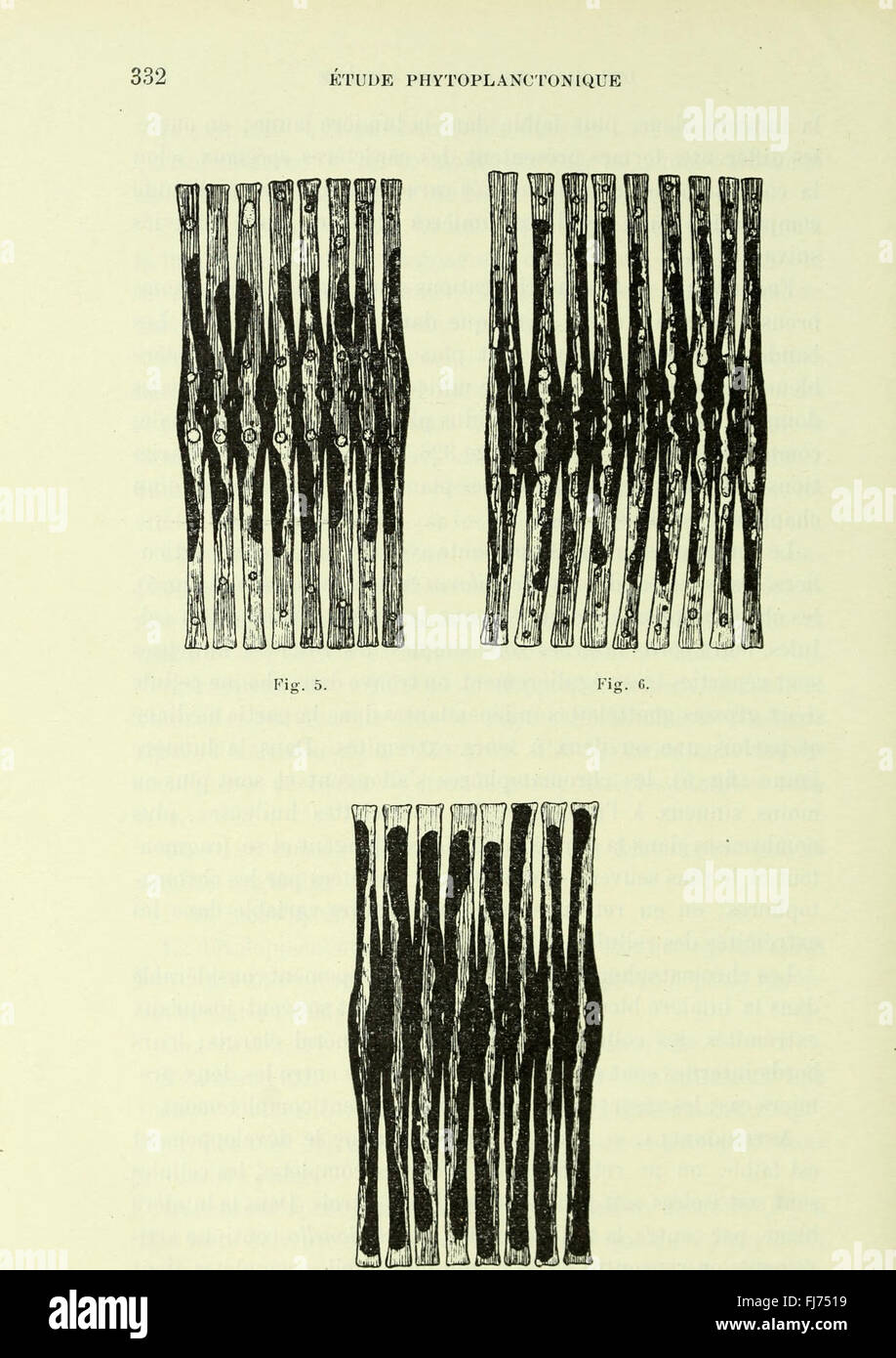 A scientific journal from 1919 covering physical and natural sciences ...