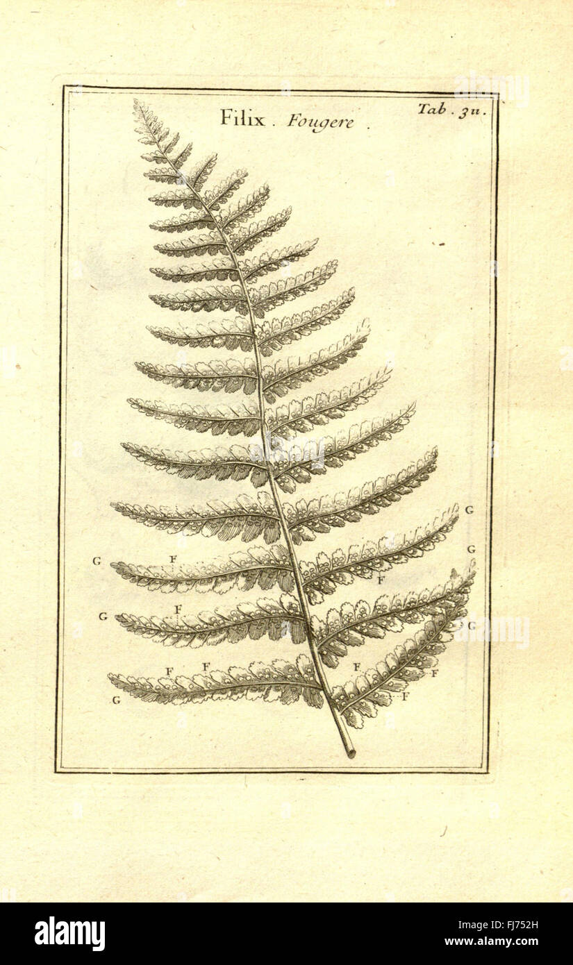 The Missouri Botanical Garden houses the Peter H. Raven Library and a ...