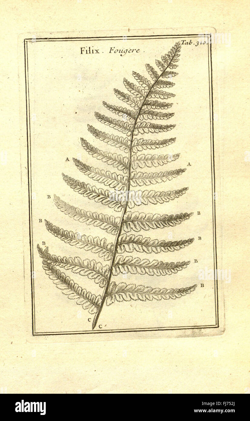 Joseph Pitton de Tournefort's work on botanical classification paved ...