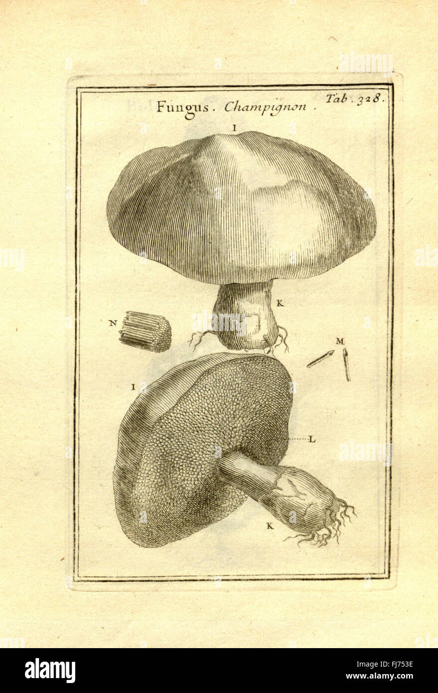 A botanical work by Joseph Pitton de Tournefort, focusing on plant ...