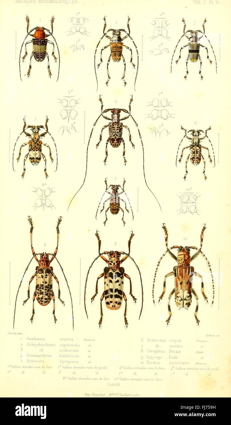 This collection from the Smithsonian illustrates rare or newly ...