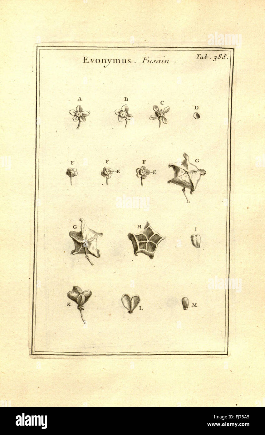 Botany, Missouri Botanical Garden, Peter H. Raven Library, Pre-Linnean ...