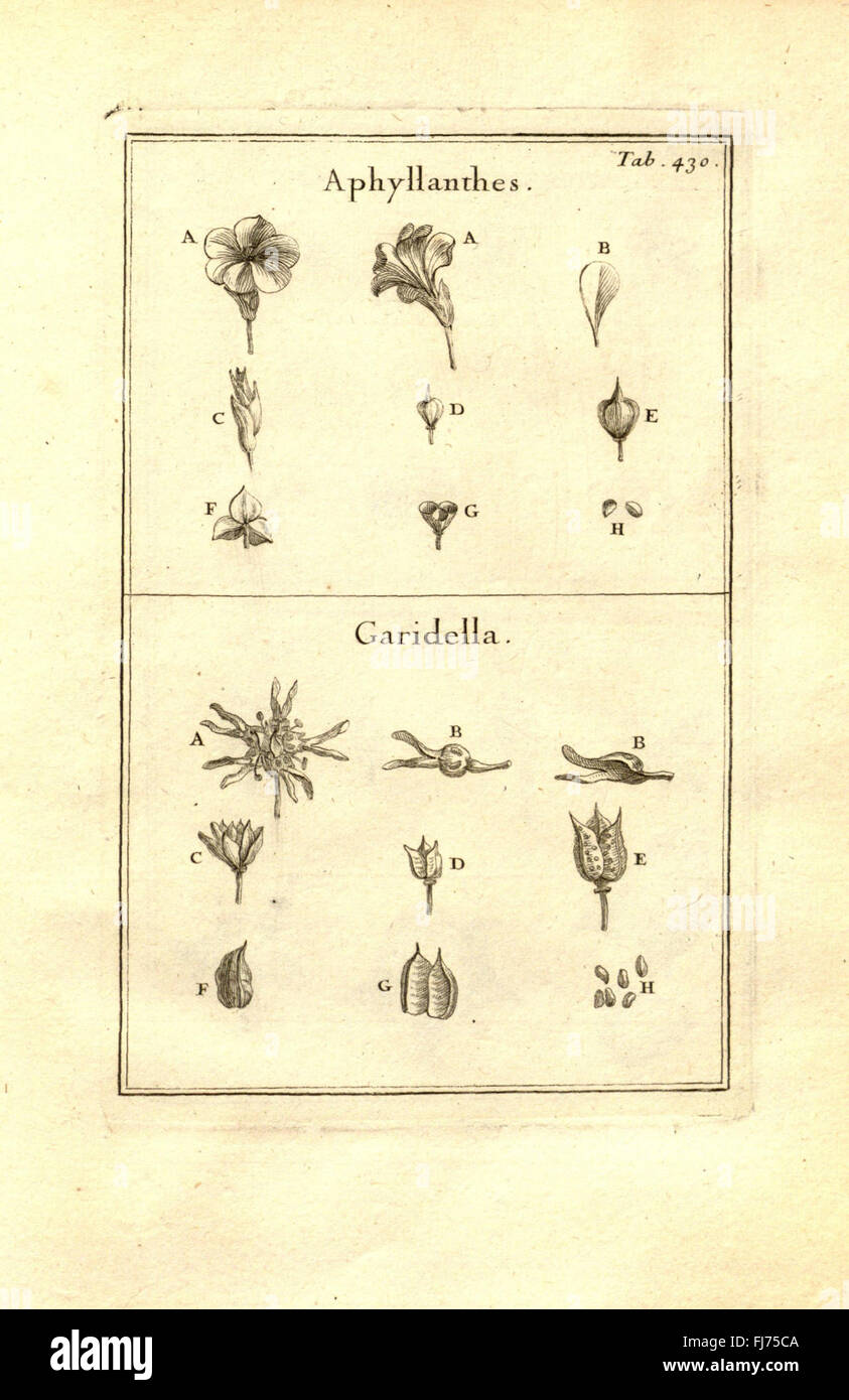 Botany, Pre-Linnean works, plant classification, plant taxonomy ...