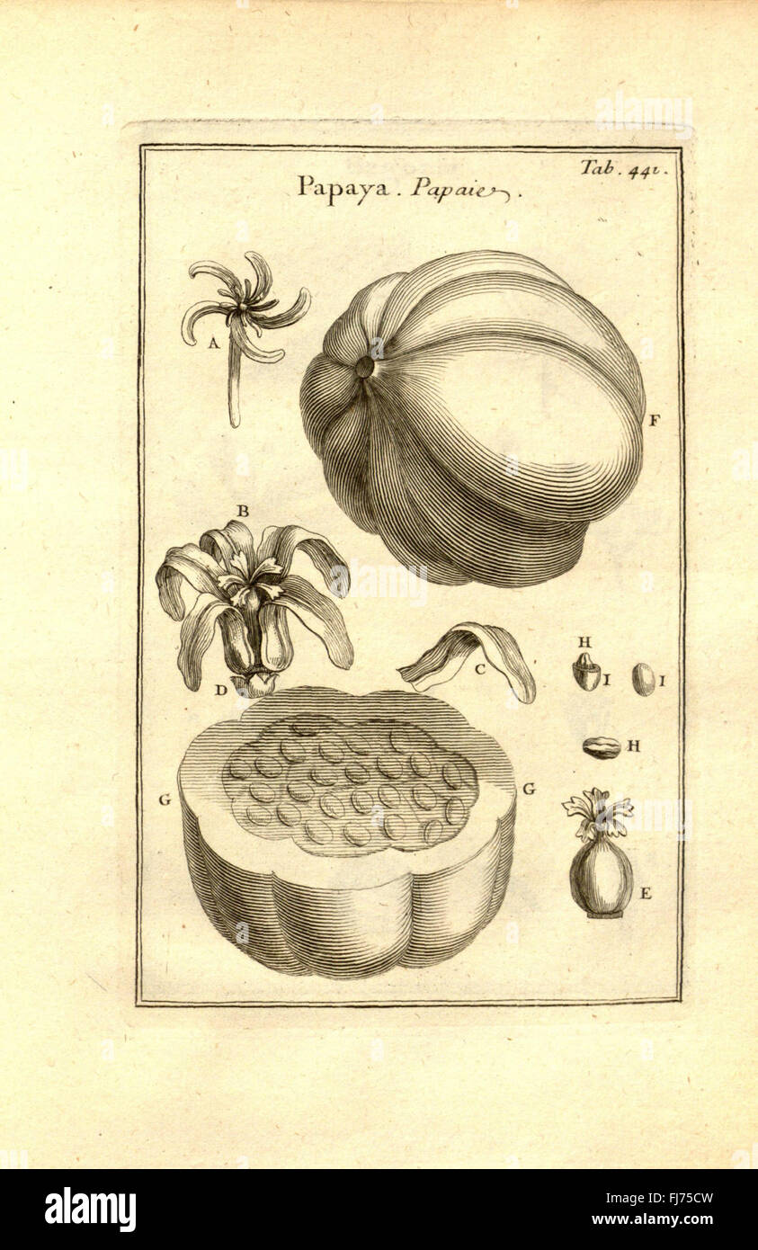 An early botanical work by Joseph Pitton de Tournefort, contributing to ...